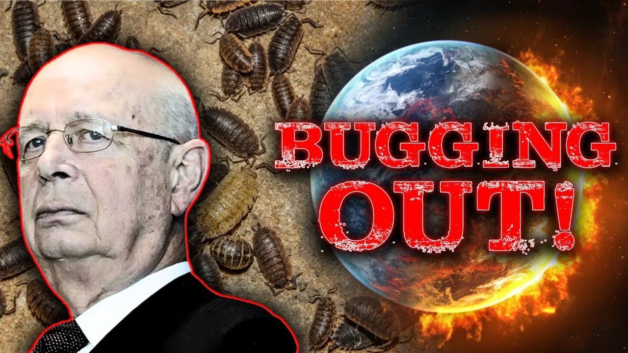 Bugging Out! Tyson's Bug Buffet: Will Consumers Crawl or Crave?