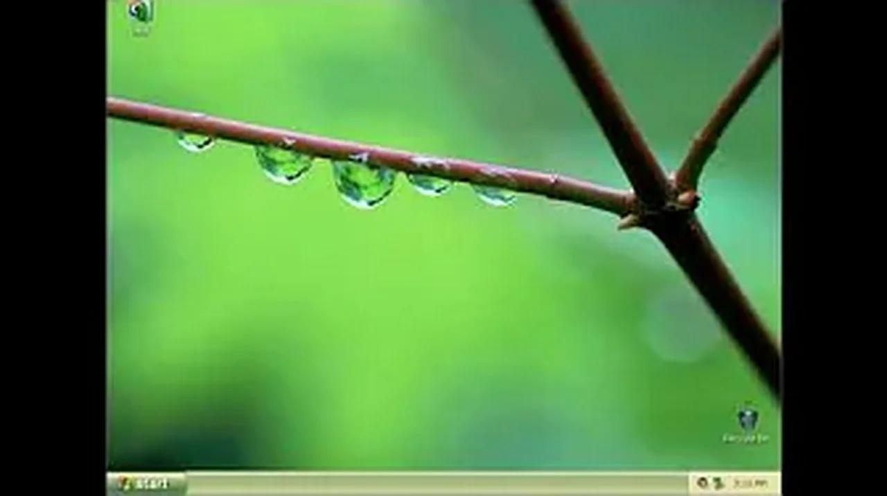 Windows XP Plus Theme - Nature