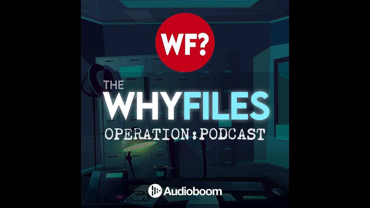 539: COMPILATION: Weird and Bizarre Stories from the archives!