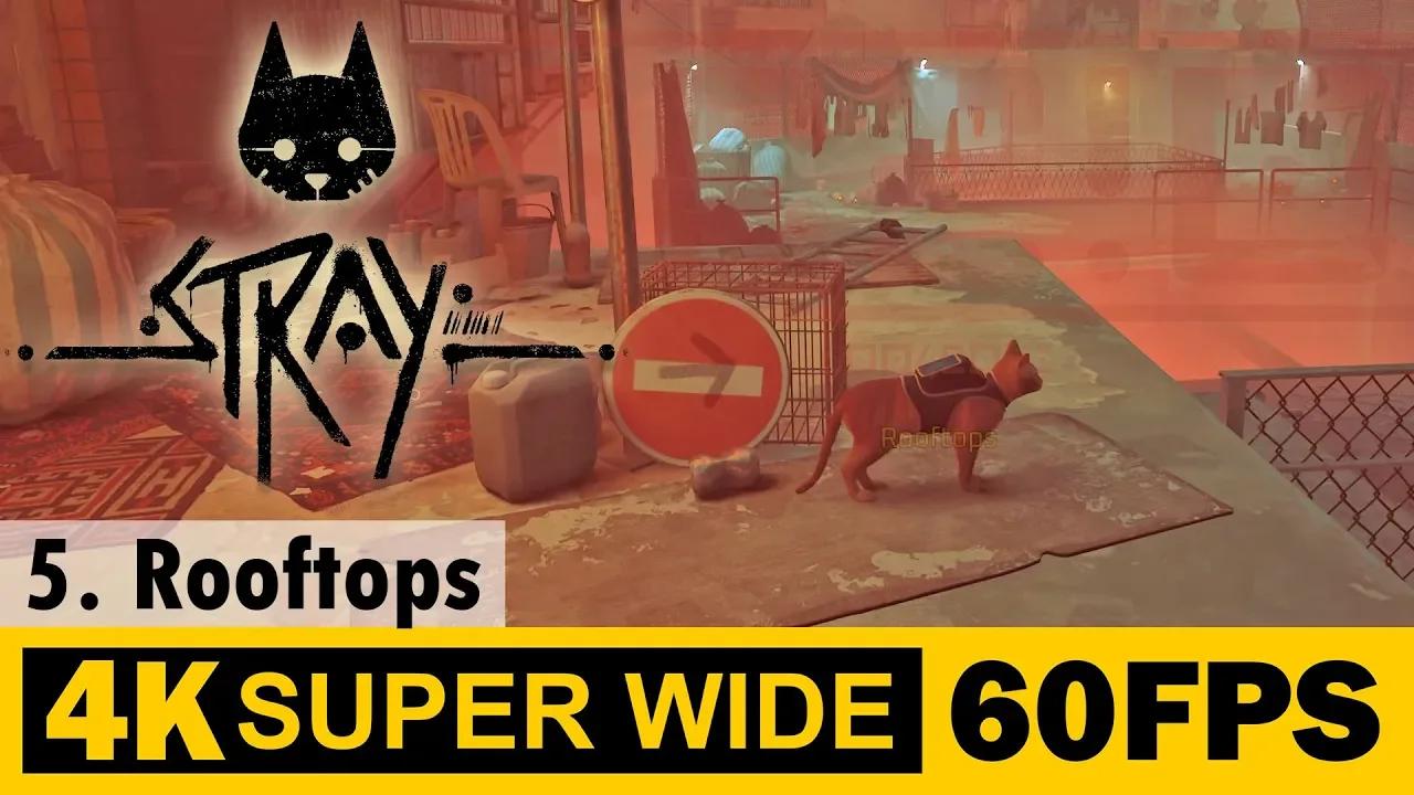 Chapter 5, Rooftops | Stray | Walkthrough, Gameplay, No Commentary, 4K ...