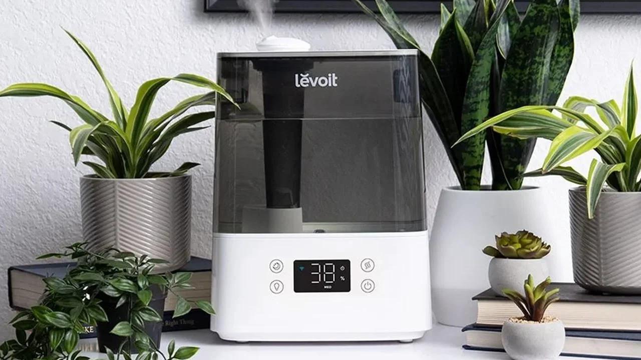 Top 5 Best Humidifier For Plants in 2023 | Best Plant Humidifier Reviews