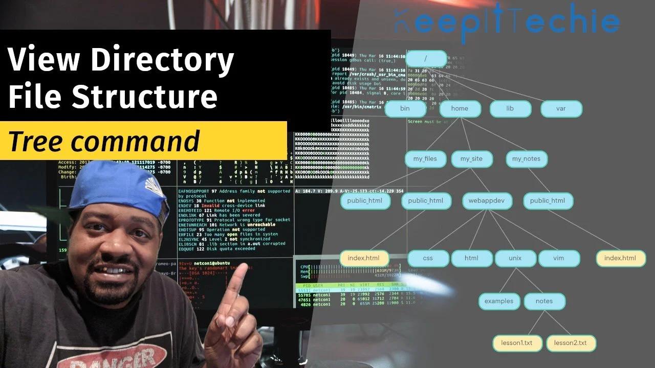 Tree Command View Directory File Structure On Linux 3388