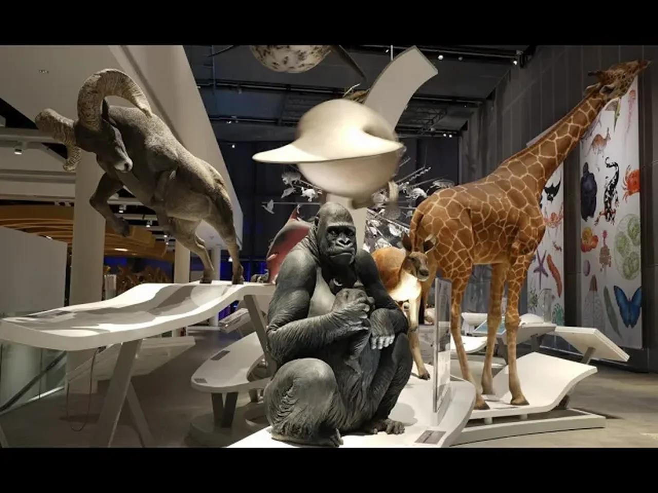 kuwait most beautiful museum. best place to travel. The Sheikh Abdullah ...