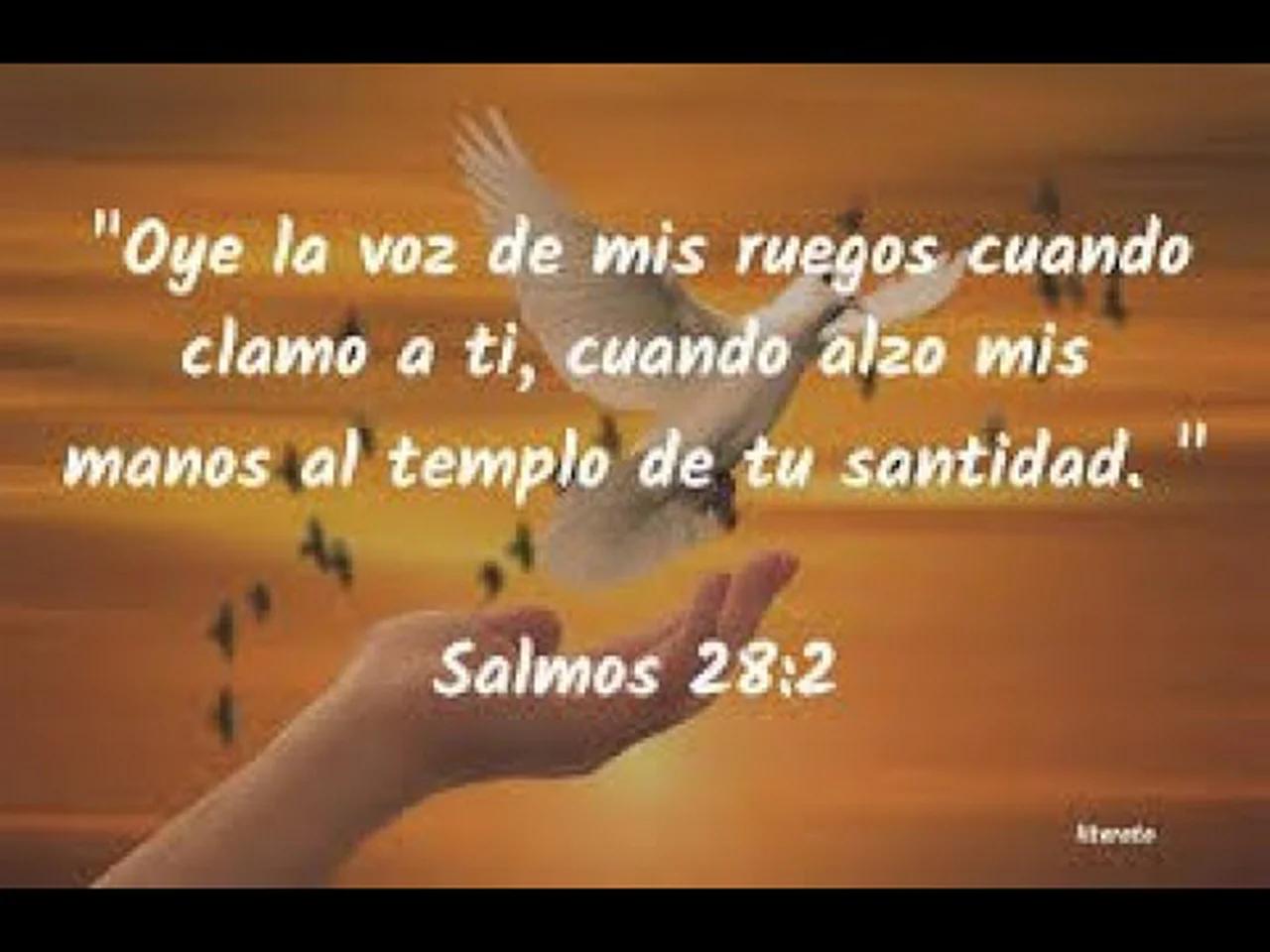 SALMOS 28 Y EXPLICADOS