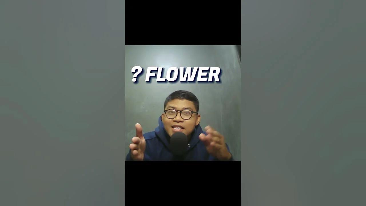 Countable and Uncountable in real lyfe - flower vs flour