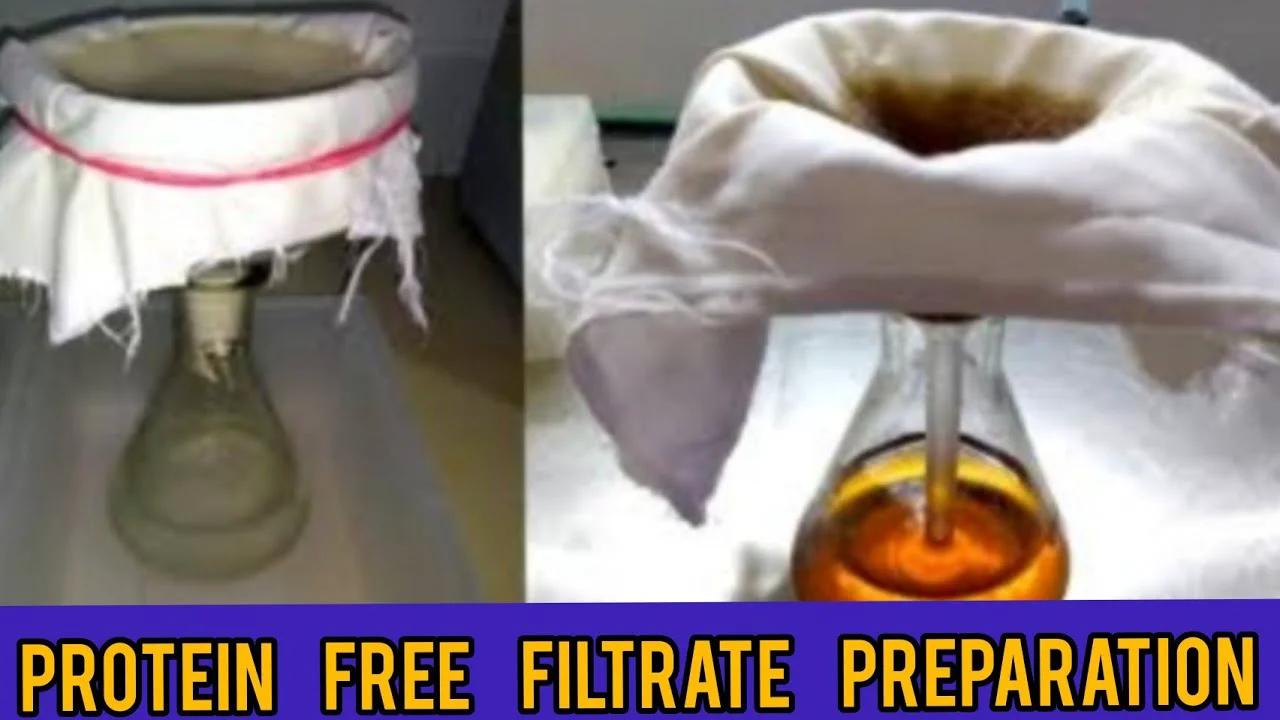 What Is Protein Free Filtrate || Preparation & Use In Detail ||PFF By Folin Wu Method||