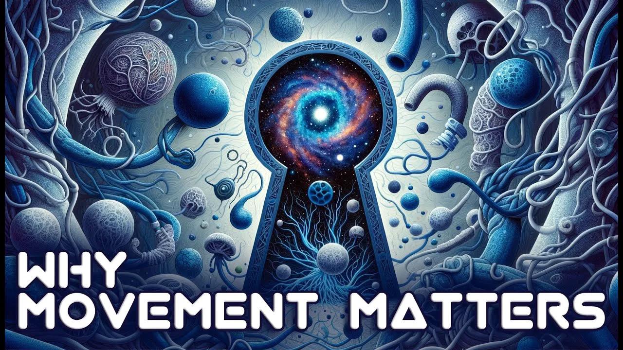 Why Movement Matters