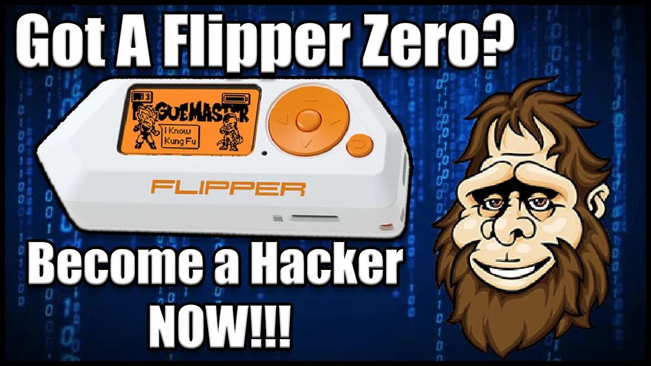 Got a Flipper Zero? Become a Hacker NOW!!! Install UberGuidoZ Repo ...