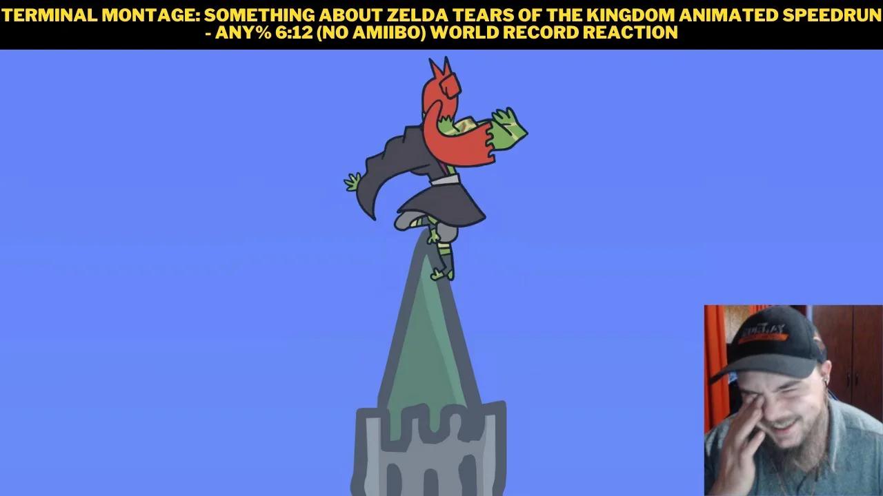 Terminal Montage: Something About Zelda Tears Of The Kingdom Animated ...