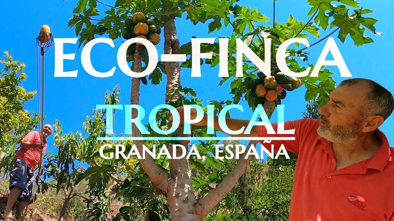 Tropical Diversity Eco-Farm in Southern Spain