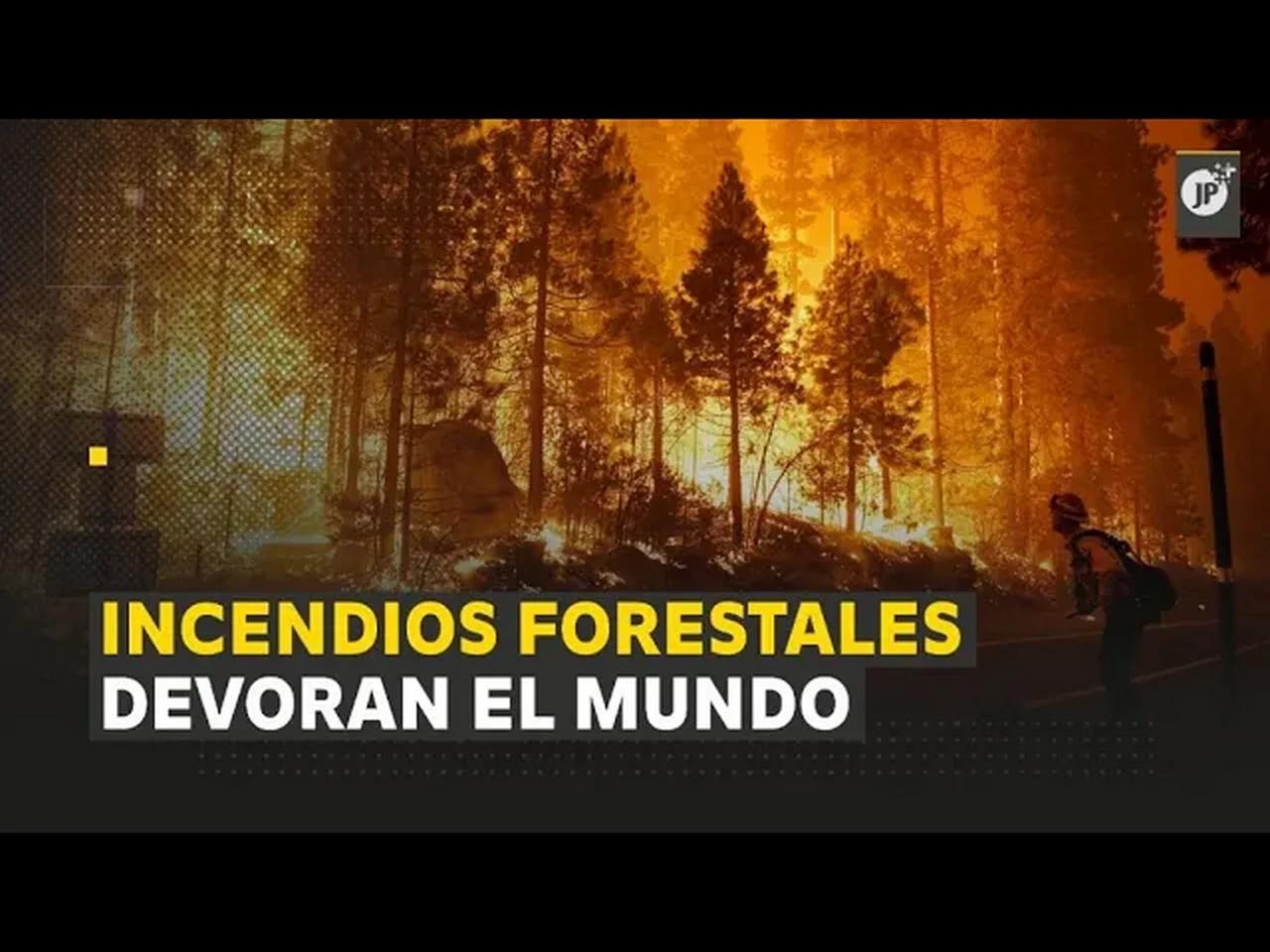 Incendios Forestales Devoran El Mundo