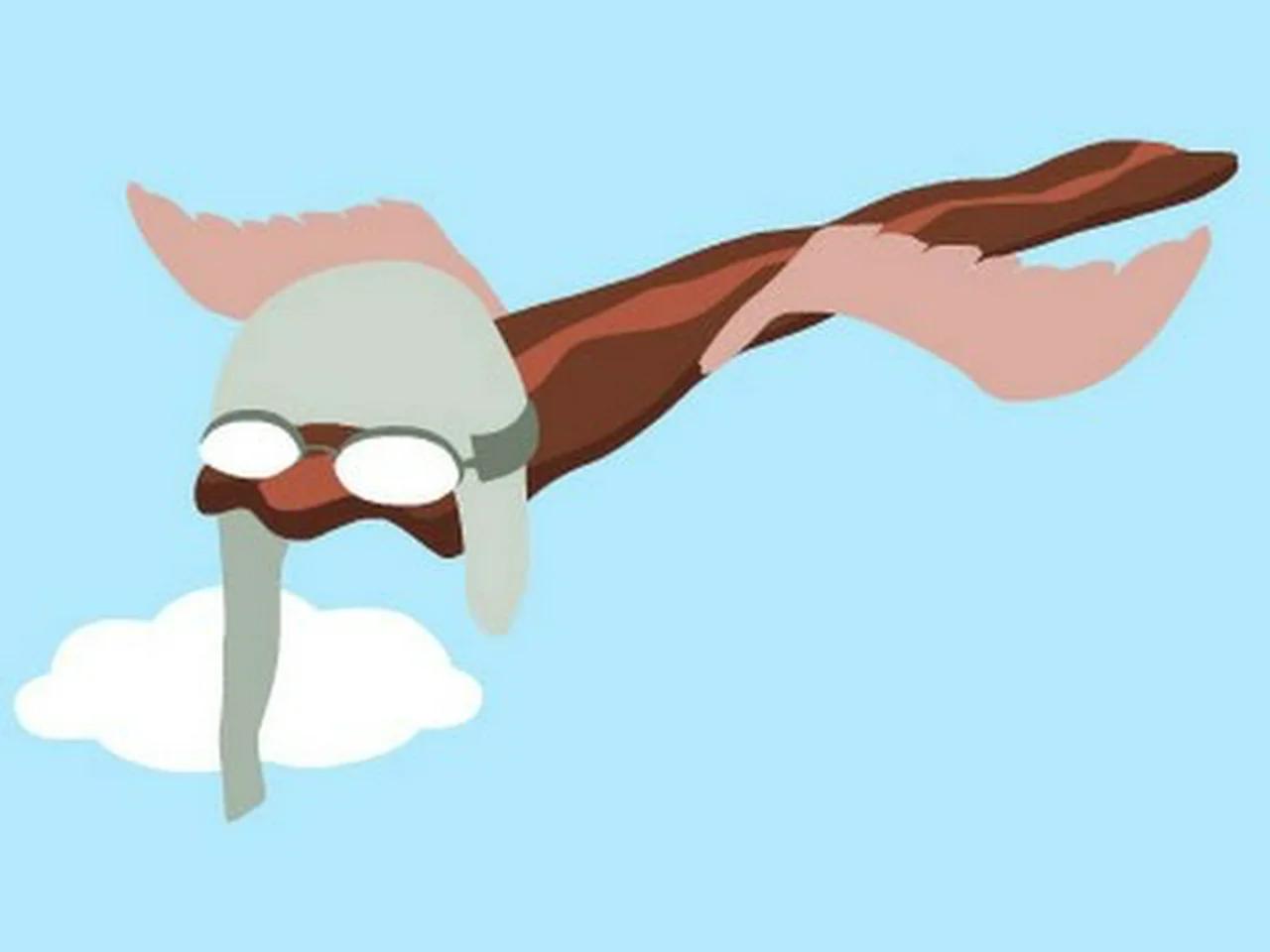 flying bacon