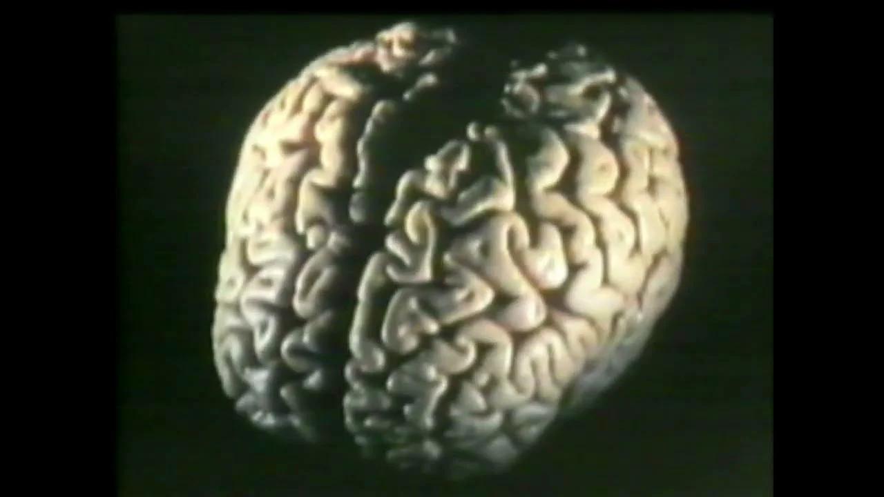 Más allá del mundo Invisible - documental Español castellano - 1979 ...