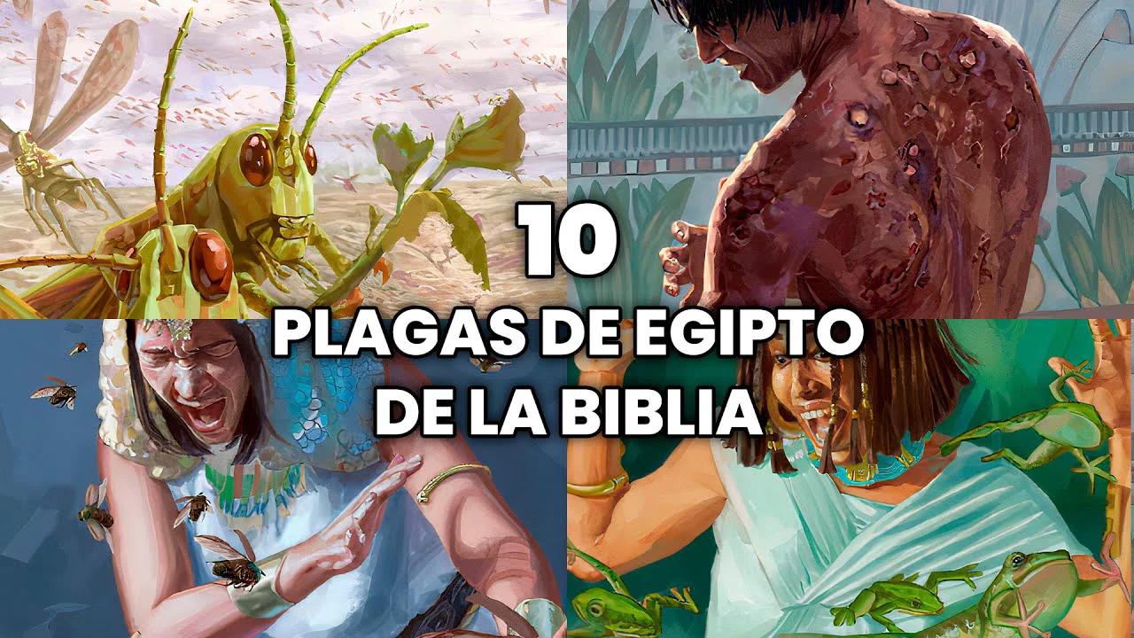 Las 10 Plagas de Egipto de la Biblia | Las Plagas de la Biblia | Religión