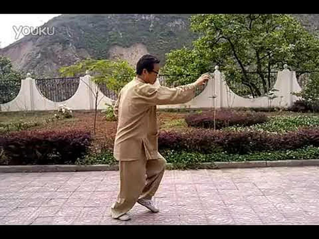 Iron Luohan branch Xing Yi Quan, monkey form, Tian Jinglong (田景龙)