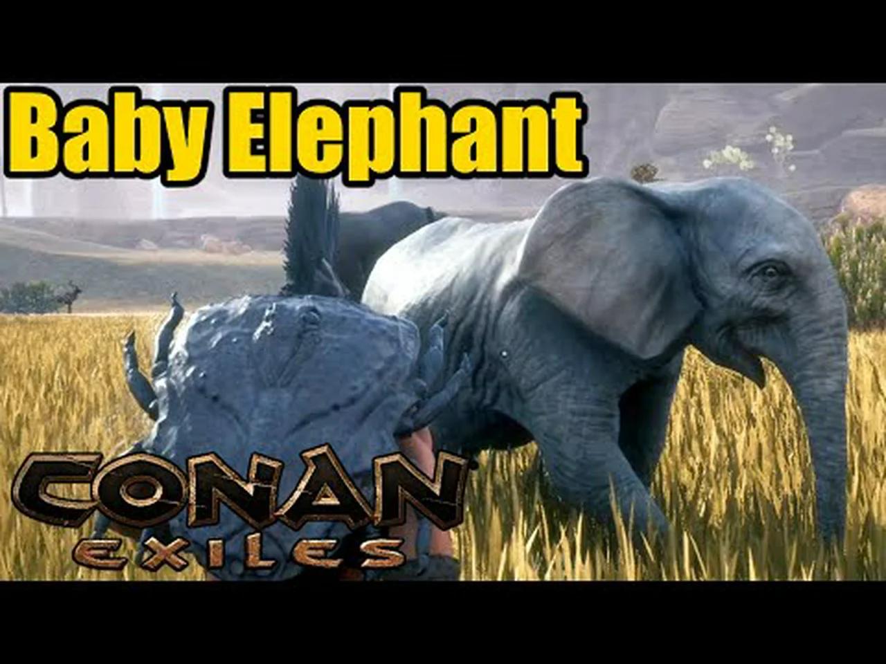 Conan Exiles 3.0 S1E24 | The Elephant In The Room | Single Player Series