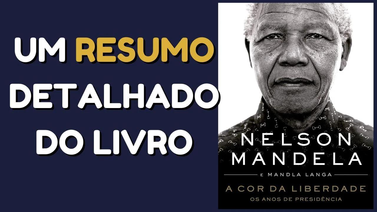 A COR DA LIBERDADE: OS ANOS DE PRESIDÊNCIA DE NELSON MANDELA