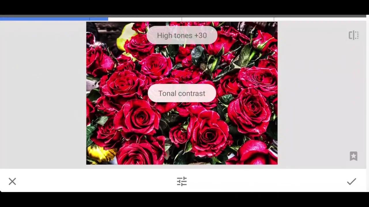HDR And Dramatic Photo-Editing Of Rose Flower : Snapseed App Tutorial