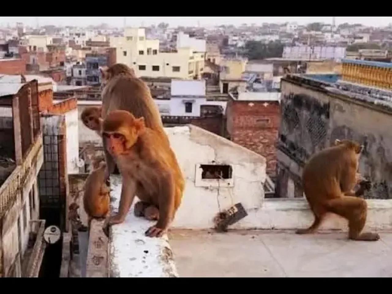 When you are scared to complete the ask