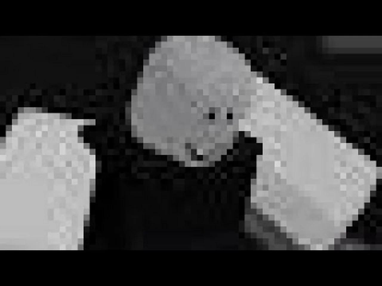 Randomizer | Actually fun roblox game?