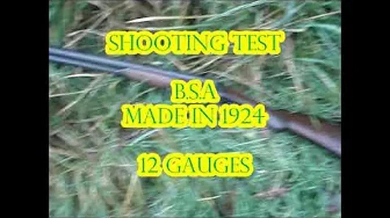 Shooting test Shotgun BSA 12 gauges