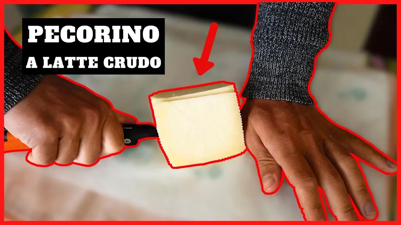 Assaggio un formaggio pecorino calabrese a latte crudo