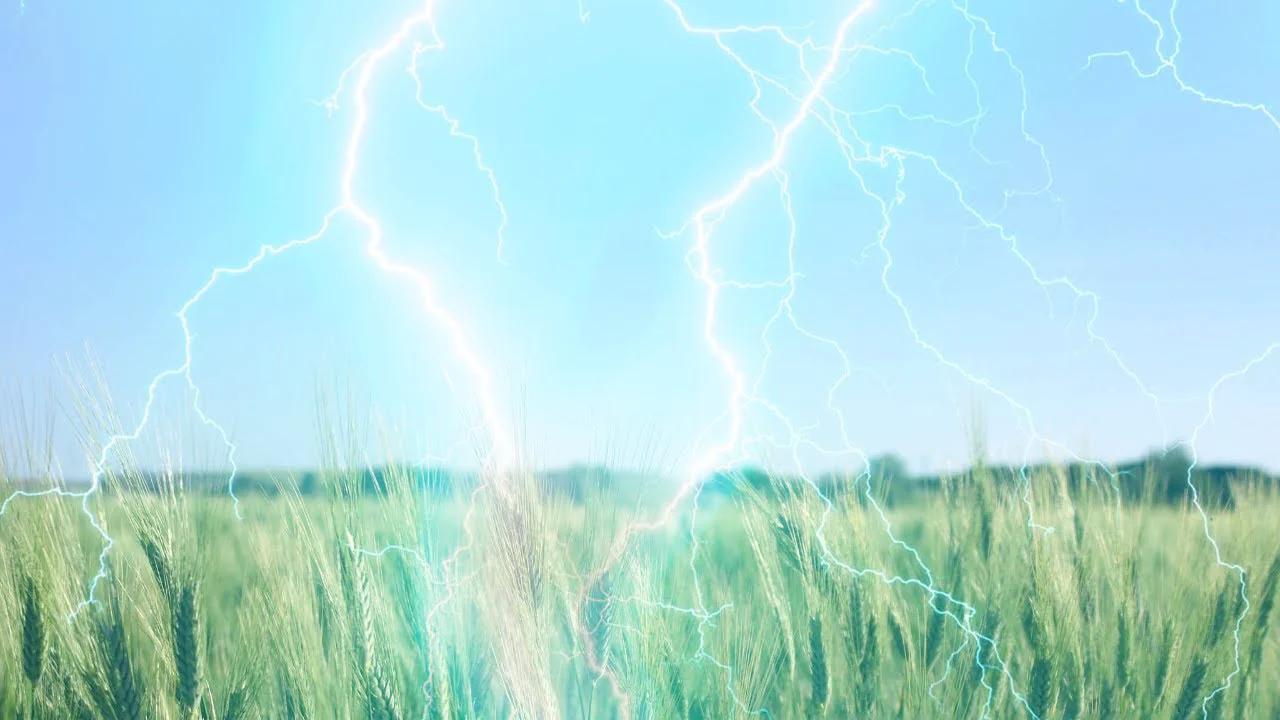 Electroculture 101 & The Power To Cultivate Our Own w/ Matt Roeske