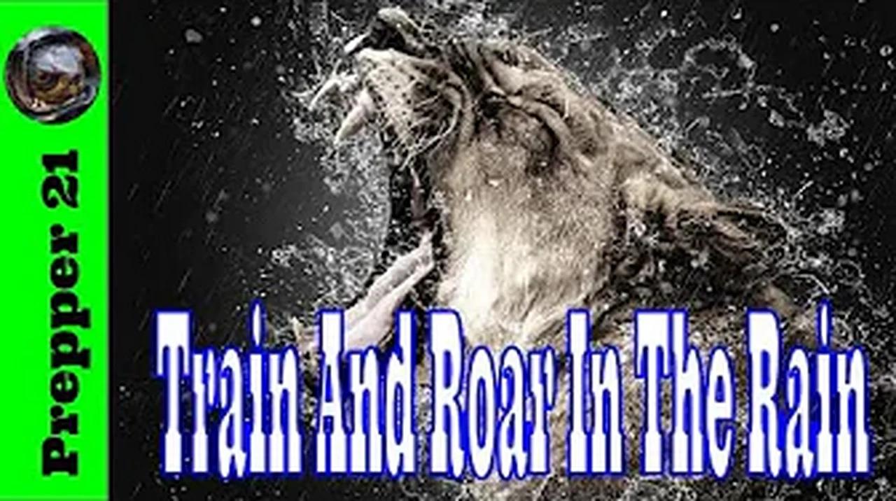 Train And Roar In The Rain