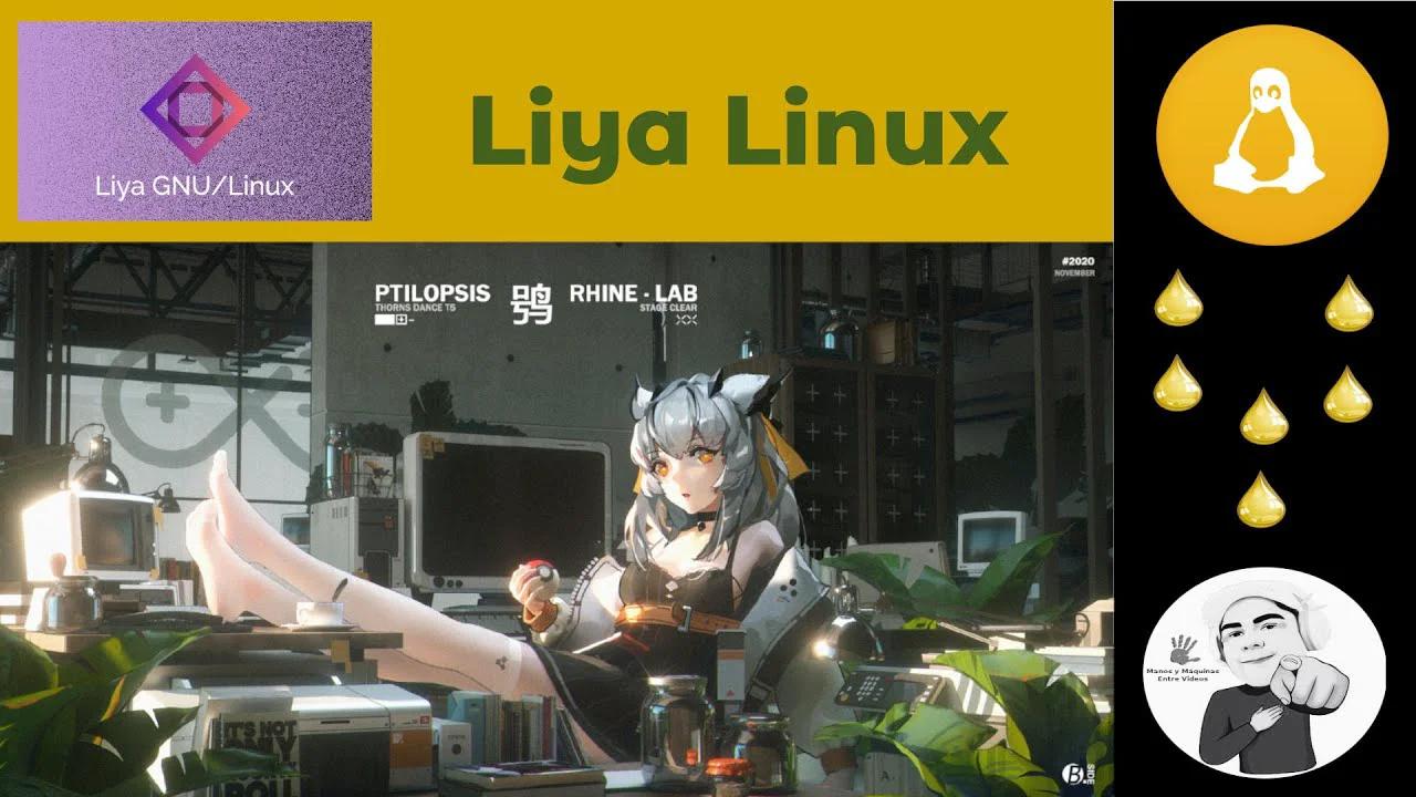 Liya Linux Derivada de Arch con Cinnamon modificado