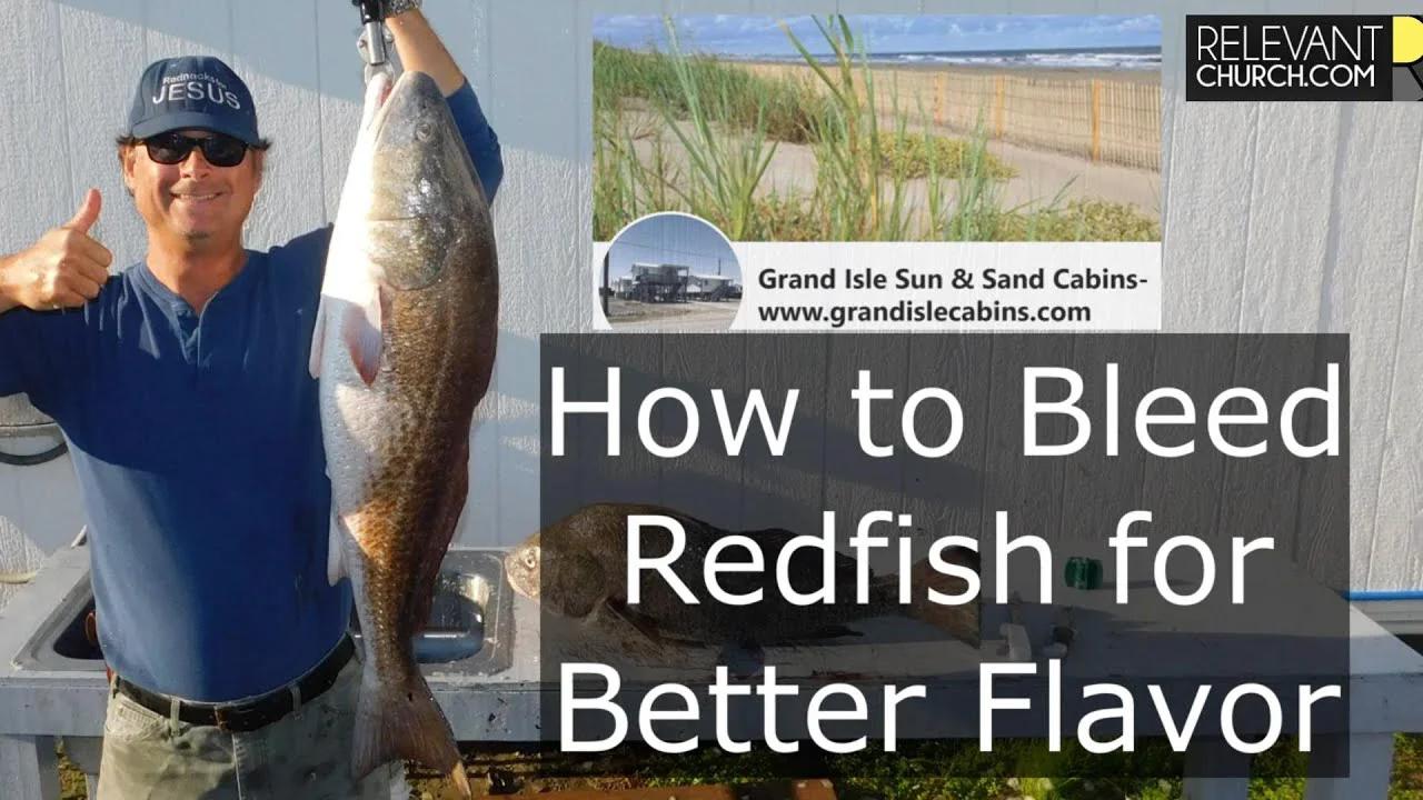 Salty 101- How to Bleed Redfish the Easy Way for Better Flavor