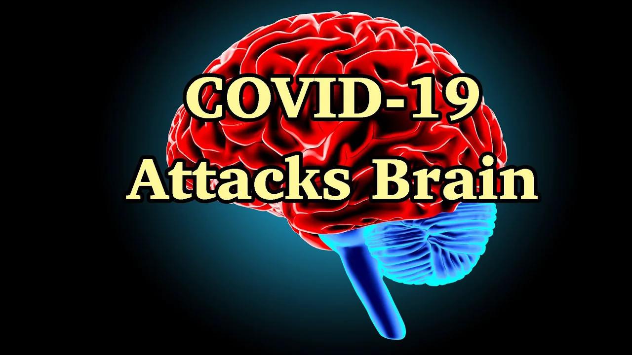 Evidence Suggests Virus Attacks Brain & Nervous System says Expert ...