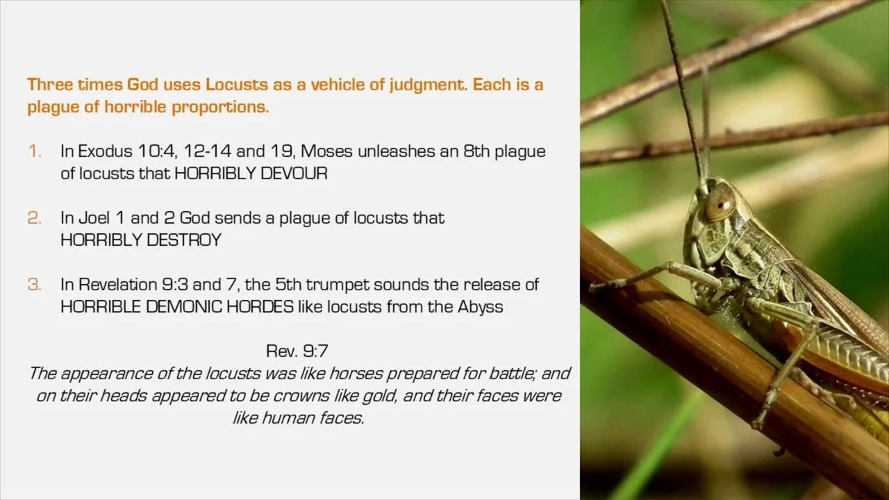 GOD USES LOCUST JUDGMENTS THREE TIMES IN THE SCRIPTURE