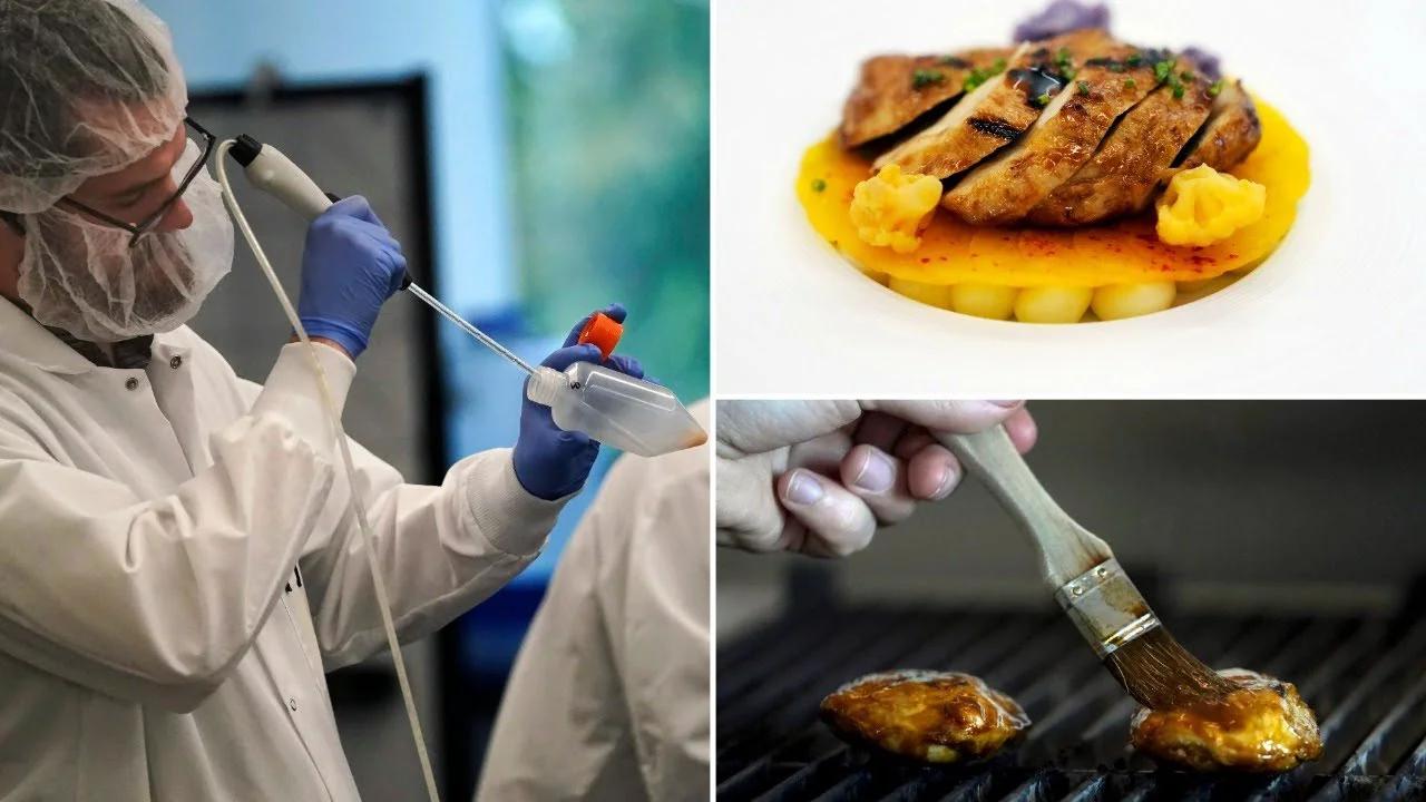 US approves nation’s first ‘lab-grown’ meat chicken made from animal cells