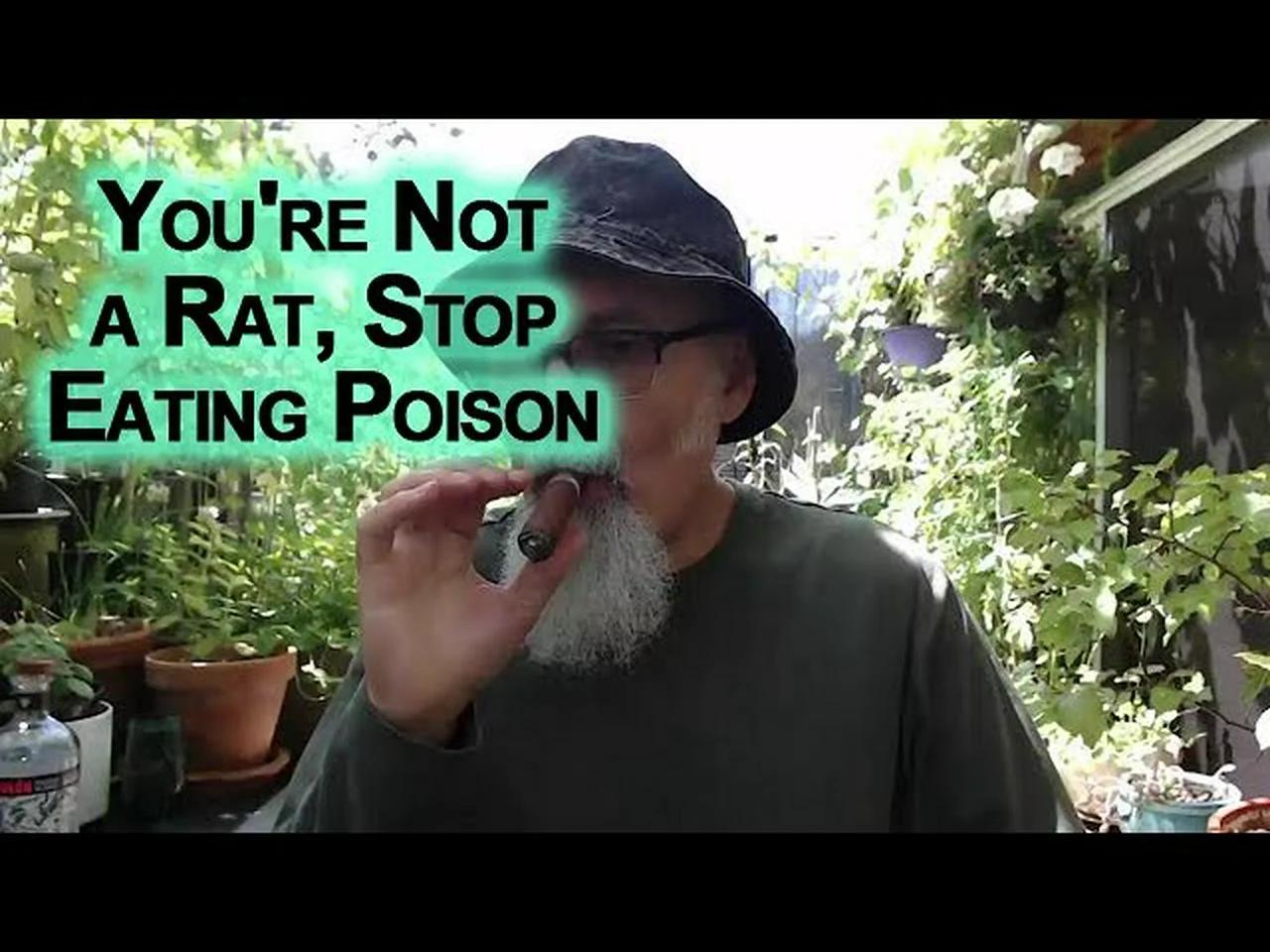 Do You Know Why Rats Eat Rat Poison? Because They’re Rats: You're Not a ...