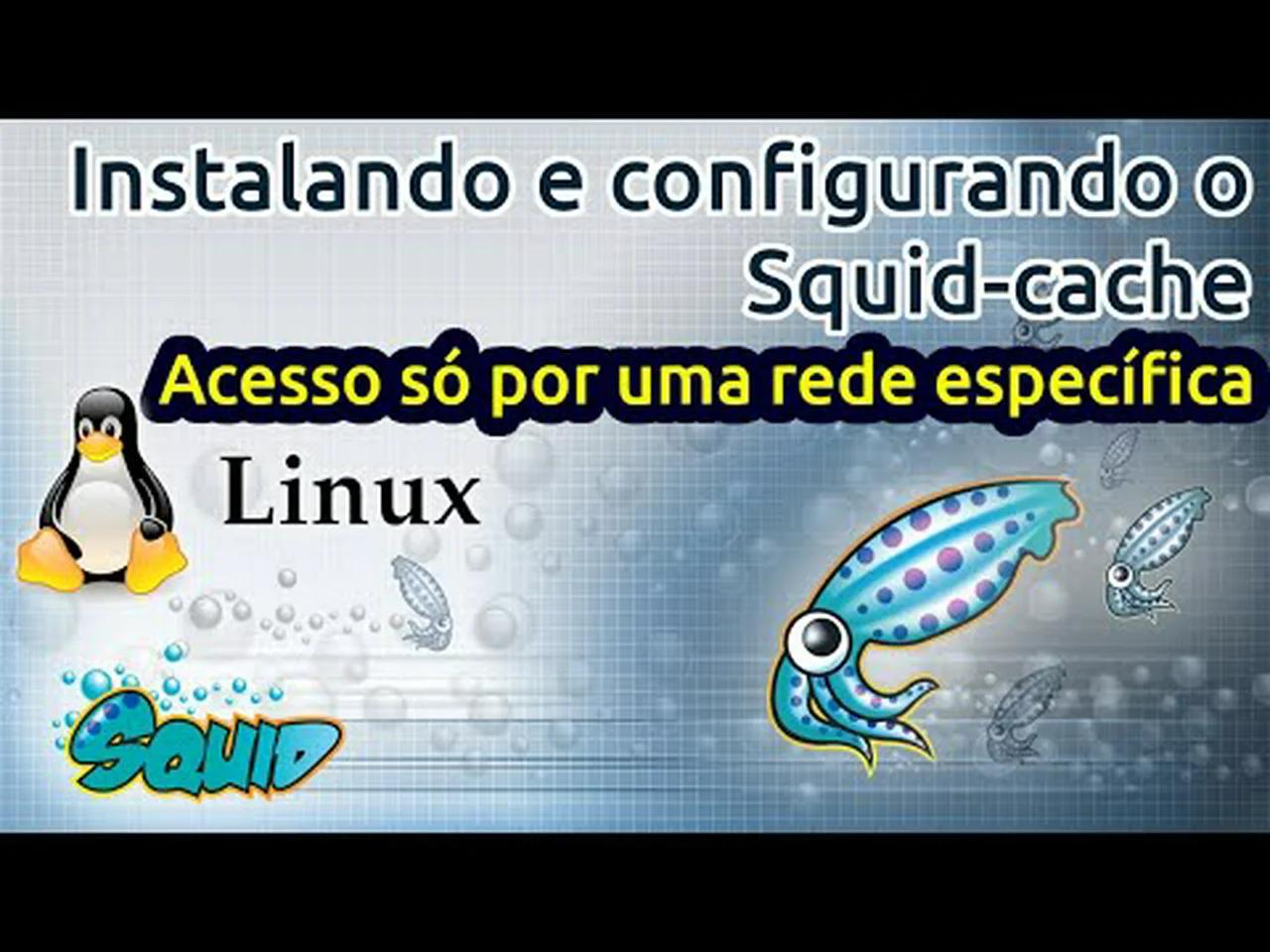 Squid-cache no GNU/Linux, Prática 4a2f8c - Permitindo apenas uma rede ...