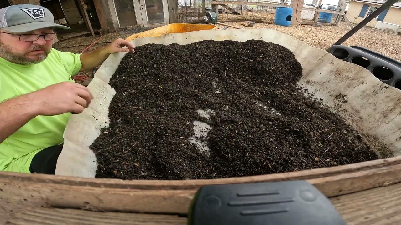 Worm Compost Harvest
