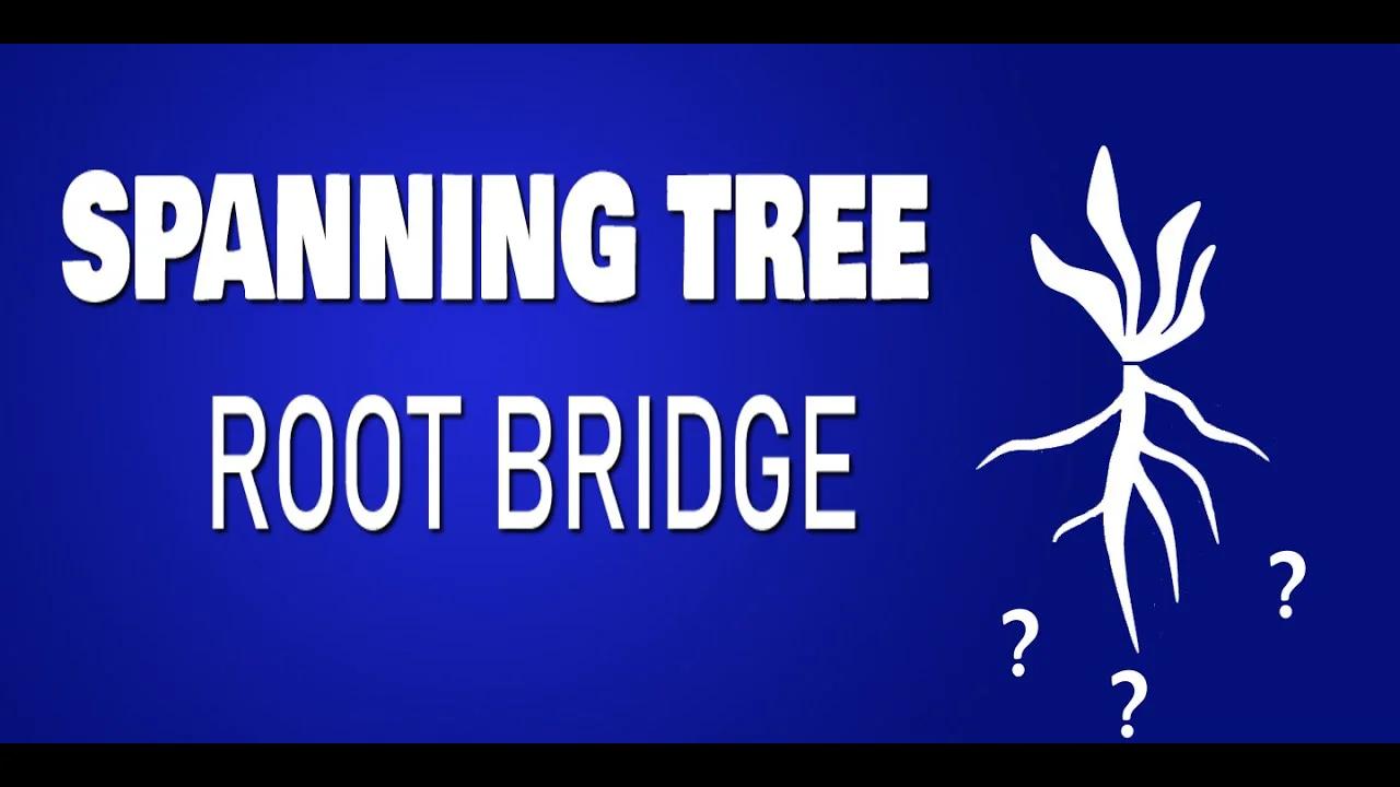 Spanning Tree Protocol Root Bridge Election Switching Part 4