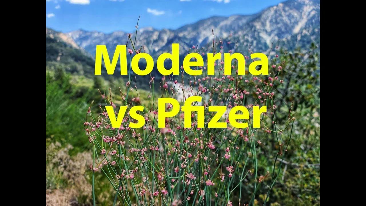 Pfizer vs Moderna vs Novavax Covid 19 Vaccine. Which should I get?