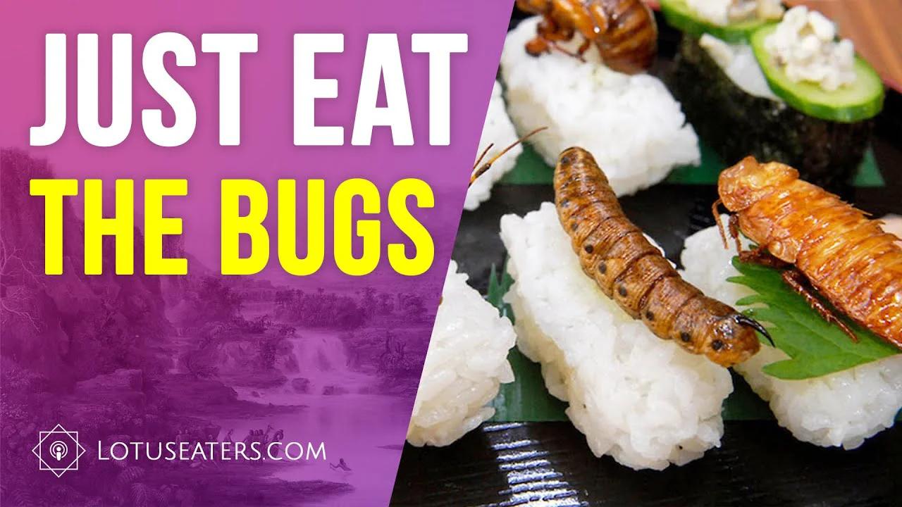 Eat the Bugs