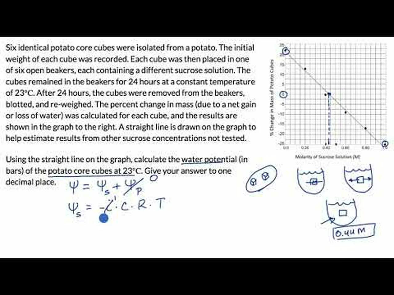 Water potential example | Cell structure and function | AP Biology ...