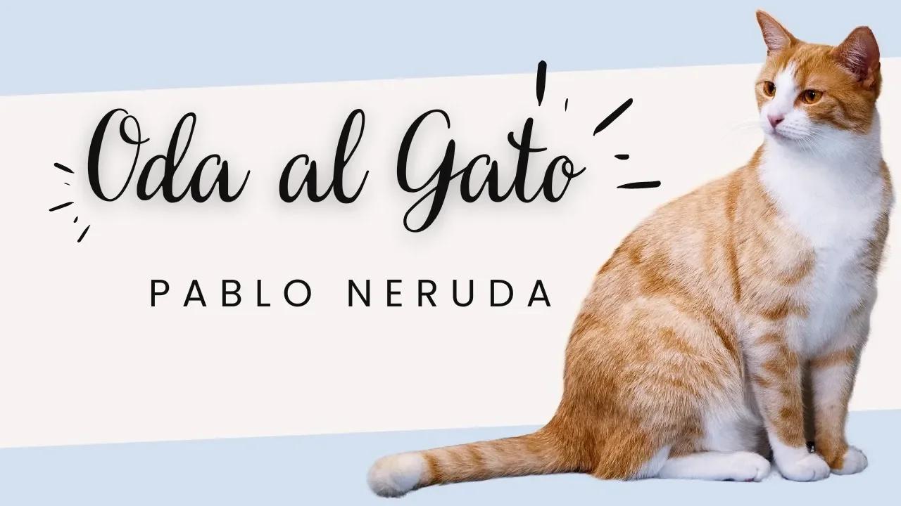 ODA AL GATO - PABLO NERUDA #poesia #audiolibro #poesía