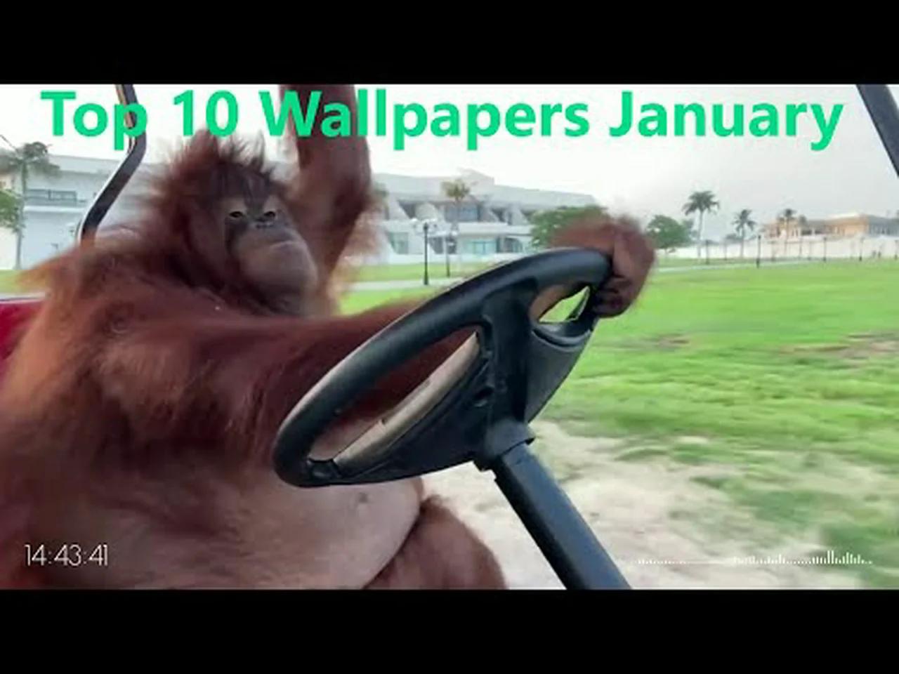 Top 10 Wallpapers Wallpaper Engine January