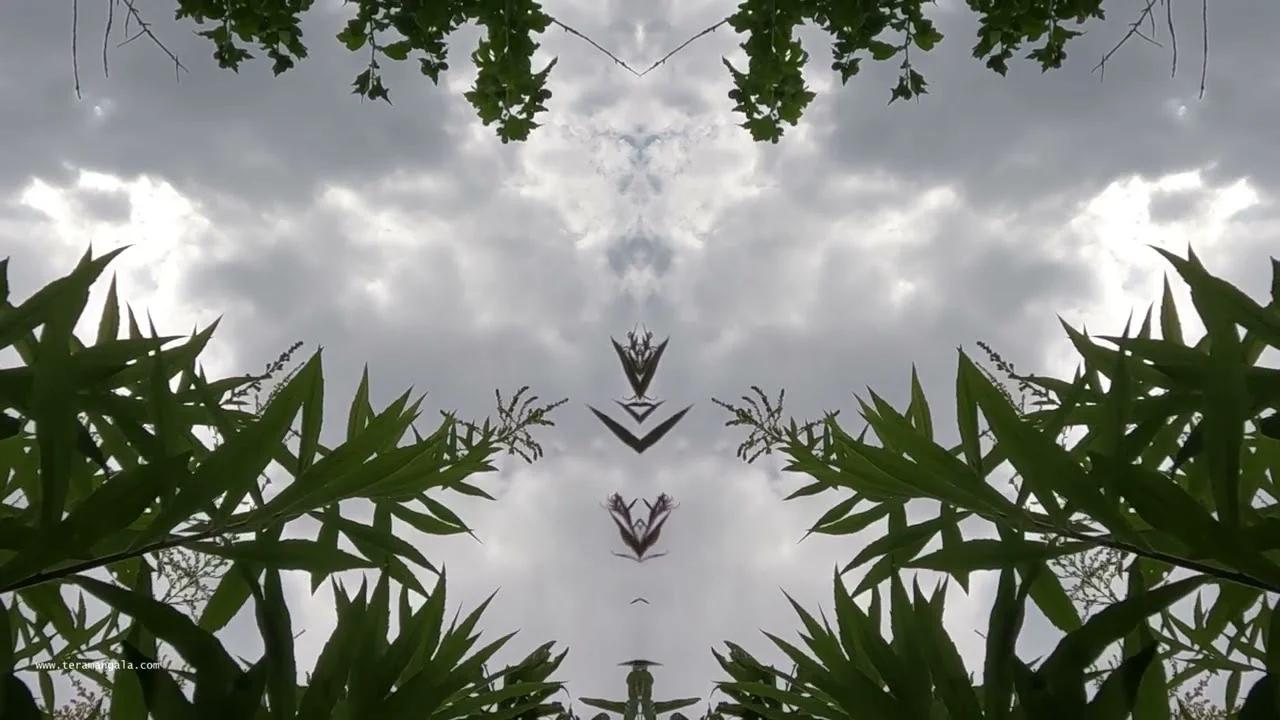 Shankara Karunakara Parameshvara Jagadishvara (Mantra, Kirtan)