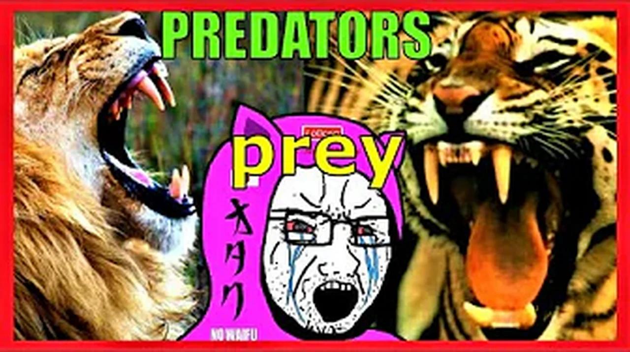 (The Alpha & Sigma Male) Are You Predator or Prey?