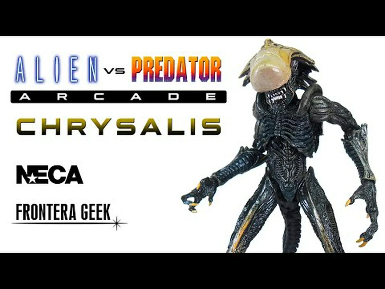 NECA Alien VS Predator CHRYSALIS ALIEN Movie Deco - AVP (1994) - Review ...