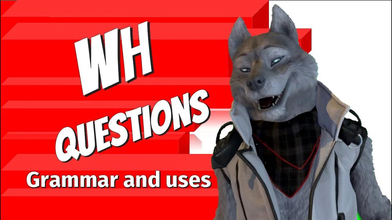 how to use the WH QUESTIONS - Grammar point