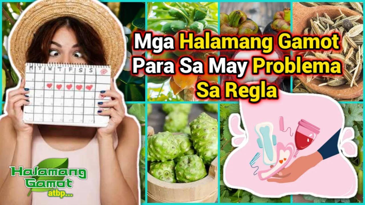 Mga Halamang Gamot Para Sa May Problema Sa Regla | Halamang Gamot ATBP
