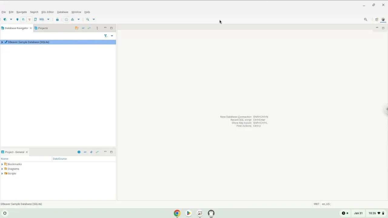 How to install DBeaver Community on a Chromebook