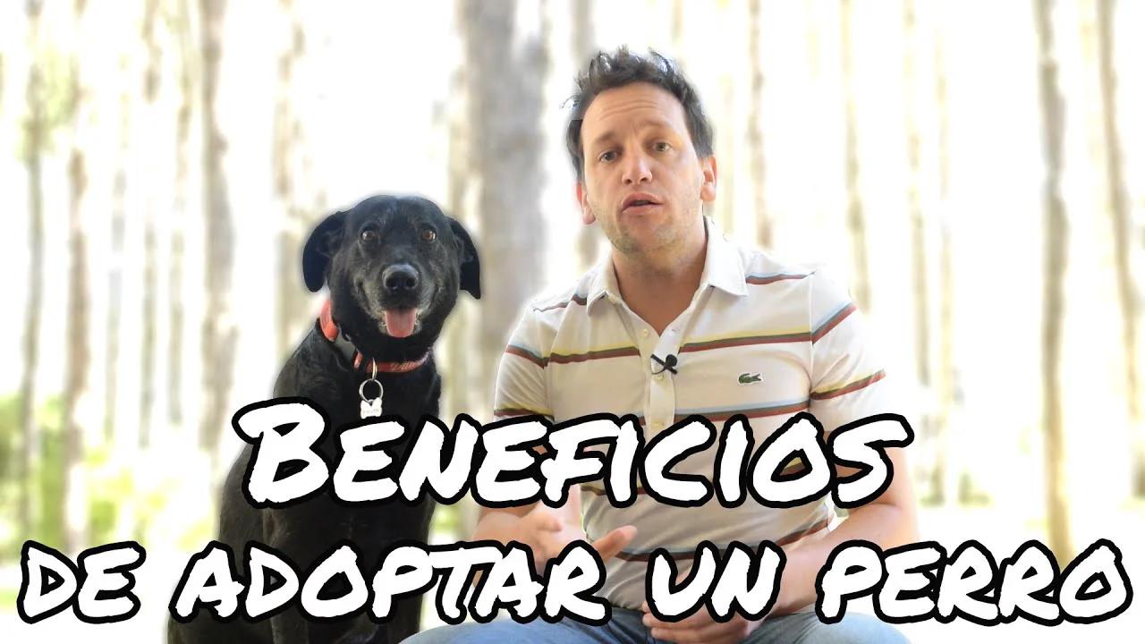 ¿Qué BENEFICIOS nos trae adoptar UN PERRO? Entrevista a Marcos Díaz Videla