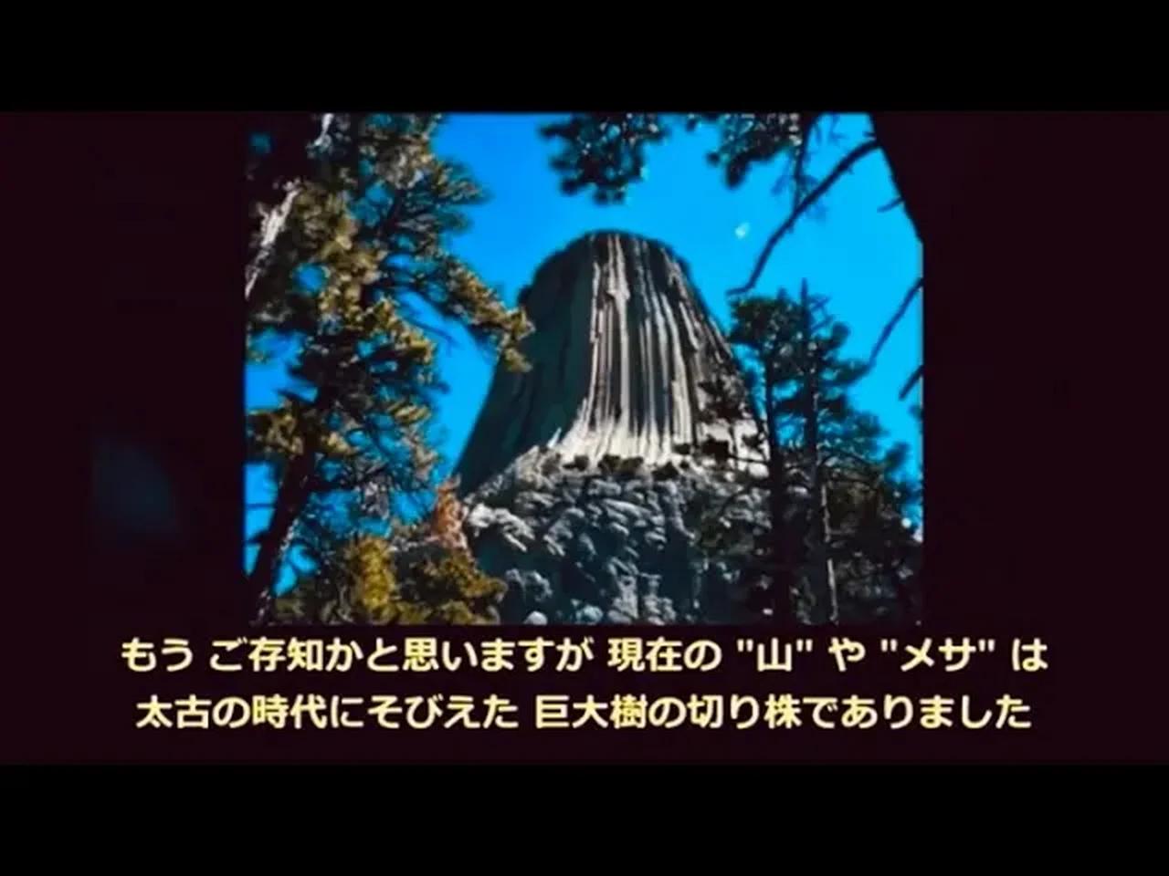 The Ancient Giant Trees - Hidden Knowledge 1